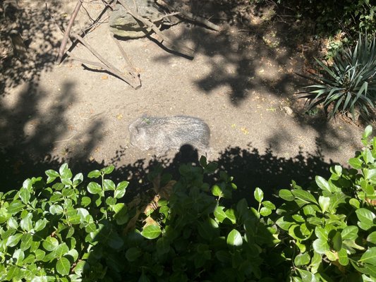 QUEENS ZOO - Updated December 2025 - 1132 Photos & 224 Reviews - 5351 ...