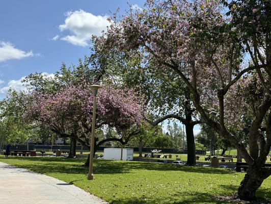 HART PARK - Updated December 2025 - 142 Photos & 73 Reviews - 701 S ...