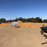 FOWLER RANCH - 10 Photos - Pumpkin Patches - 3111 Lincoln Newcastle Hwy ...