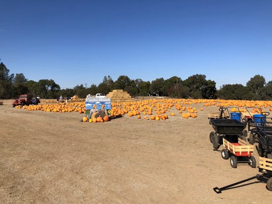 FOWLER RANCH - Updated June 2024 - 12 Photos - 3111 Lincoln Newcastle ...