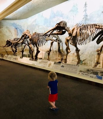 MORRILL HALL - Updated July 2025 - 87 Photos & 33 Reviews - 645 N 14th ...