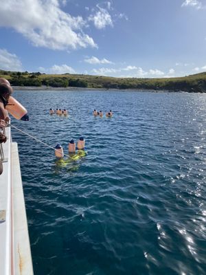 BOSS UNDERWATER ADVENTURE - Updated December 2025 - 65 Photos & 39 ...