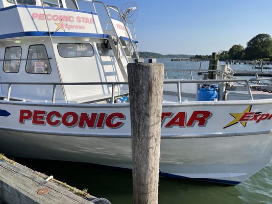 PECONIC STAR FLEET - Updated August 2025 - 22 Photos & 14 Reviews - 103 ...