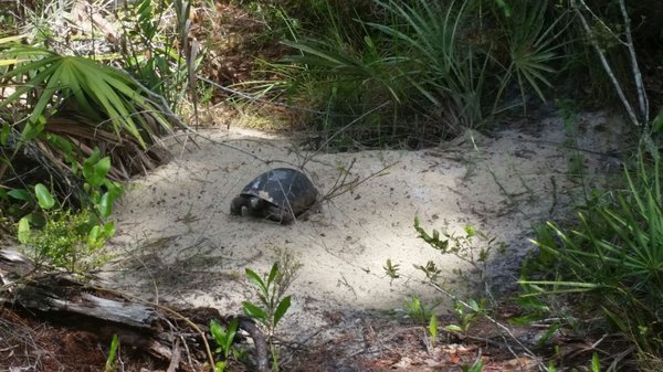 Turkey Creek Sanctuary - 134 Photos & 26 Reviews - Parks - 1518 Port ...