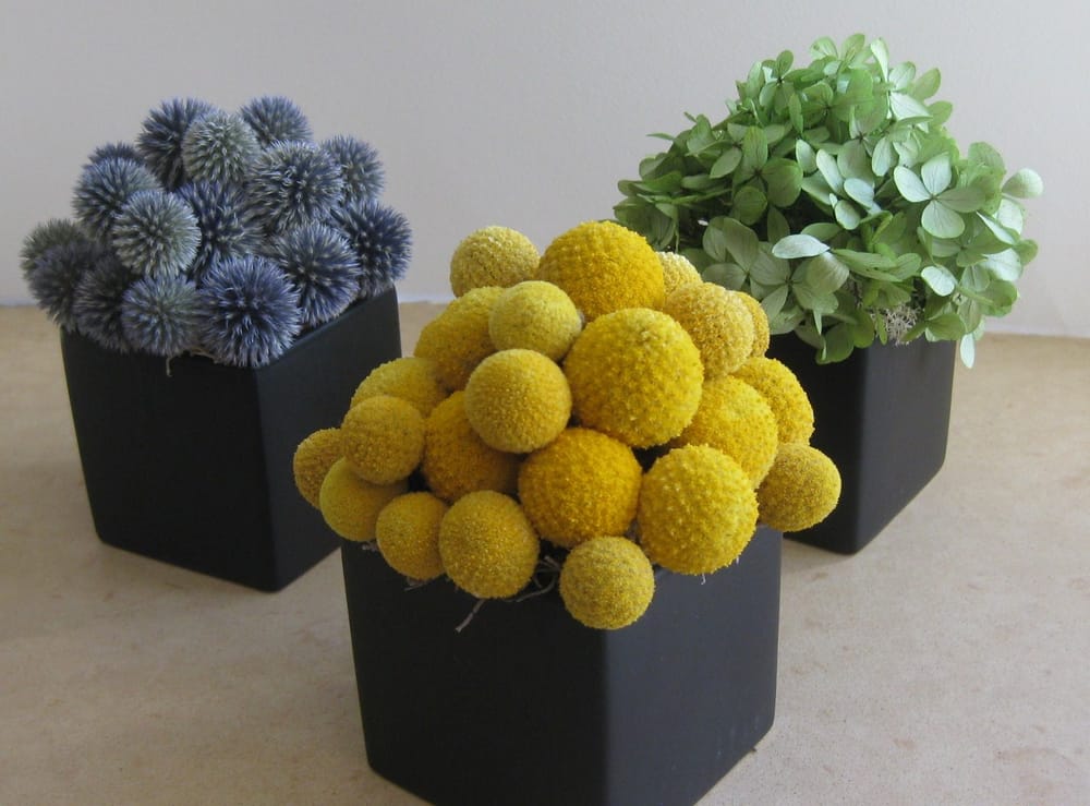 PETALS AND PODS - Updated October 2025 - 248 Draeger Dr, Moraga ...