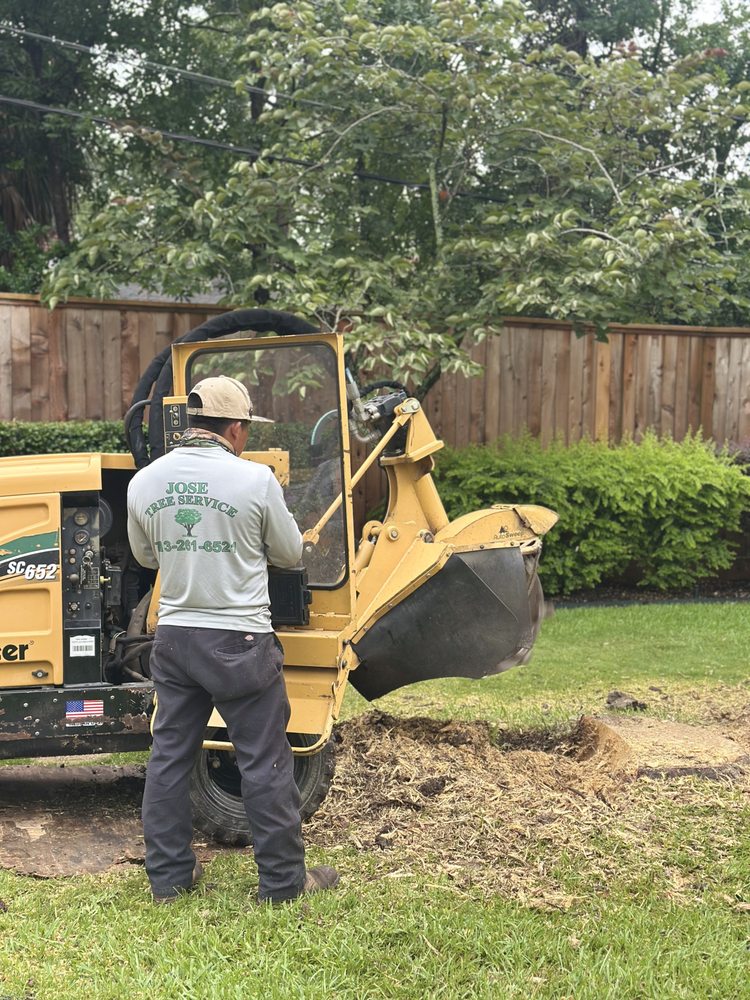 JOSE TREE SERVICES - Updated May 2026 - 2302 Campbell Rd, Houston ...