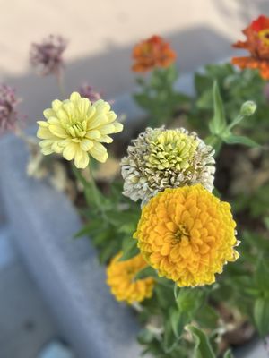 SACRAMENTO PUBLIC LIBRARY - NORTH NATOMAS - Updated August 2025 - 64 ...