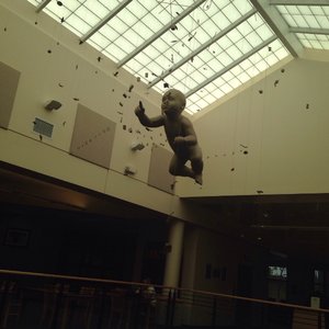 DUNEDIN PUBLIC LIBRARY - Updated September 2025 - 18 Photos & 16 ...