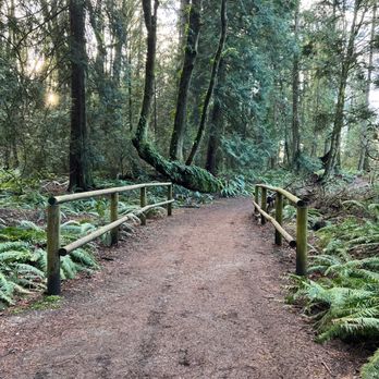 BRIDLE TRAILS STATE PARK - Updated December 2025 - 101 Photos & 41 ...