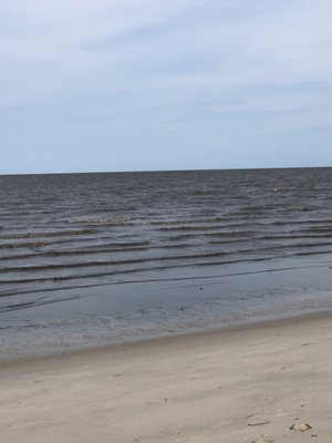 PICKERING BEACH - 16 Photos - Kent, Delaware - Beaches - Yelp