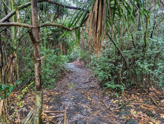 HA’ENA BEACH - AKA SHIPMAN BEACH - Updated May 2026 - 95 Photos & 19 ...
