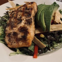 COWFISH - Updated October 2025 - 143 Photos & 186 Reviews - 148 Main St ...