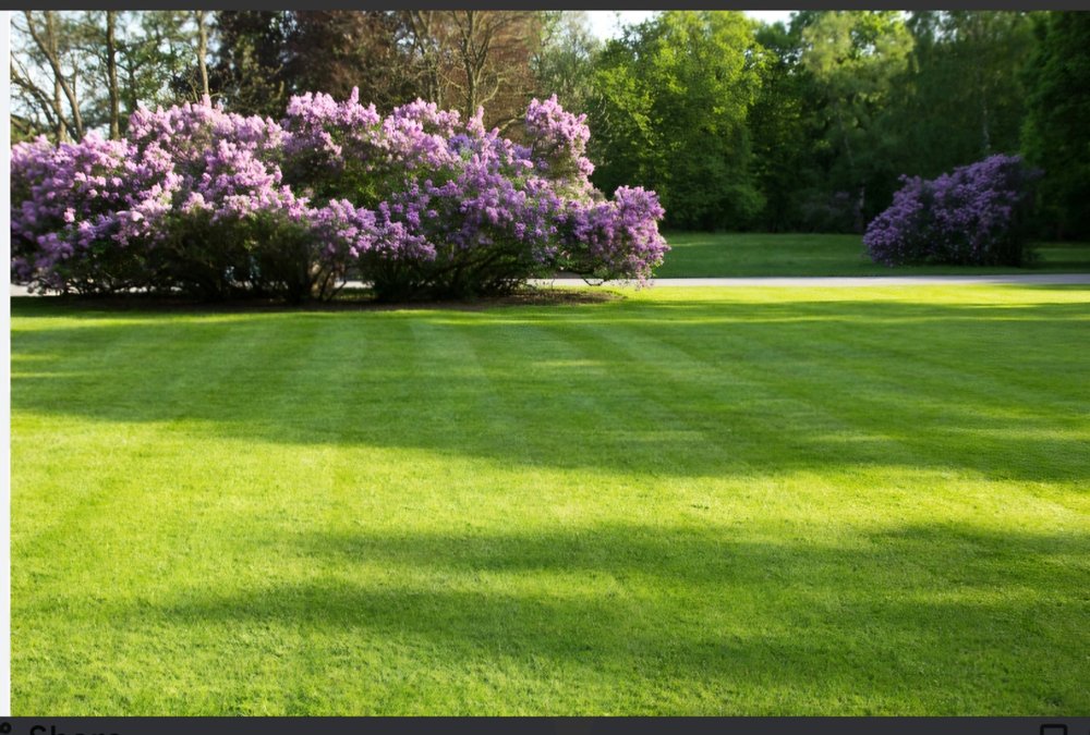HAPPY LAWNS - Updated September 2024 - Request a Quote - Worcester ...