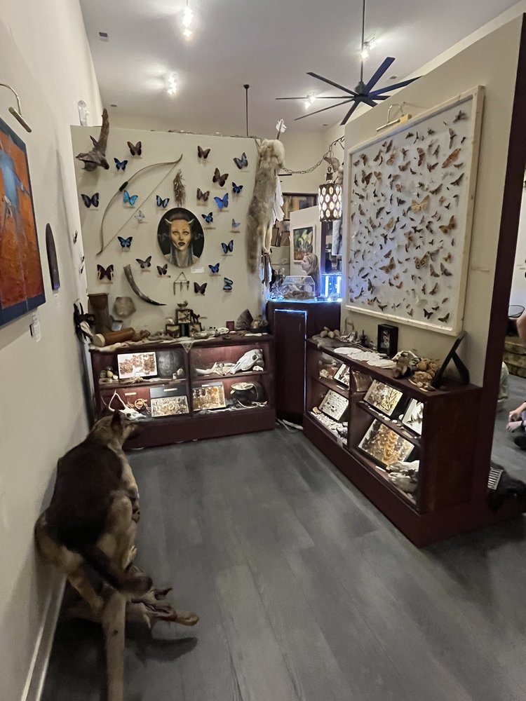 The Insect Asylum, Chicago | Roadtrippers