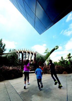 DISCOVERY CUBE ORANGE COUNTY - 1917 Photos & 841 Reviews - 2500 N Main ...