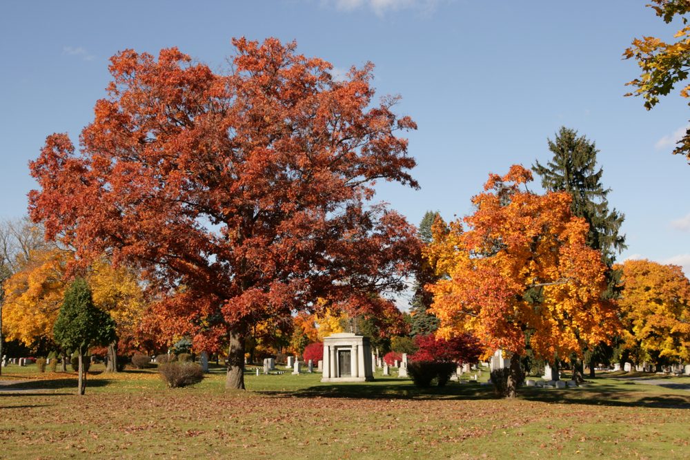 ALBANY RURAL CEMETERY & CREMATORIUM - Updated June 2024 - Request ...
