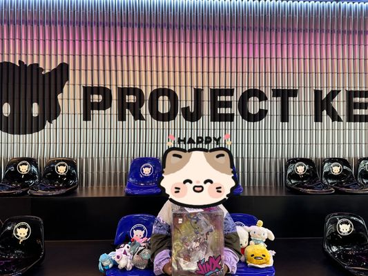 PROJECT KE - Updated June 2024 - 475 Photos & 30 Reviews - 36-12 Main ...