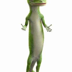 GEICO Insurance Agent - Auto Insurance - 3455 Peachtree Industrial Blvd ...