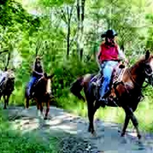 MOUNTAIN CREEK RIDING STABLES - Updated December 2025 - 77 Photos & 82 ...