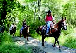 BUSHKILL RIDING STABLES - Updated December 2025 - 25 Reviews - 124 Golf ...
