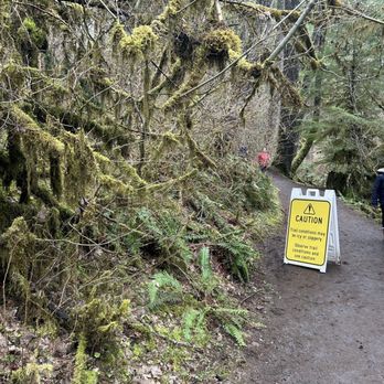 SILVER FALLS STATE PARK - Updated April 2024 - 1500 Photos & 323 ...
