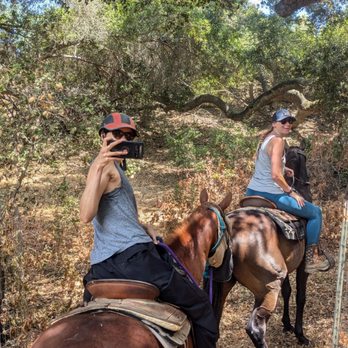 VIN HESTEN TRAIL RIDES - Updated October 2025 - 110 Photos & 215 ...