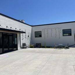 BORAGE - Updated January 2026 - 726 Photos & 192 Reviews - 1609 N ...