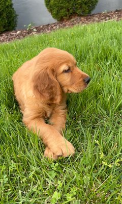 PRINCE GEORGE’S ANIMAL SERVICES FACILITY - Updated December 2025 - 34 ...