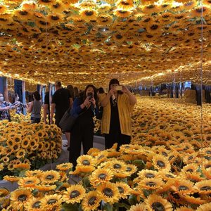 THE LOWRY CONFERENCE CENTER - Updated August 2025 - 16 Photos - 1061 ...