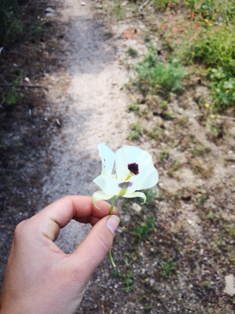 STACK ROCK RESERVE - Updated July 2025 - 10 Photos - N Bogus Basin Rd ...