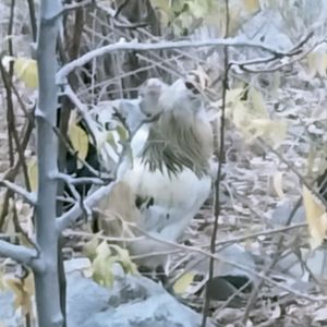 RAINBOW RIDGE PARK - 18 Photos - Parks - 1355 Rainbow Ridge Rd, Reno ...