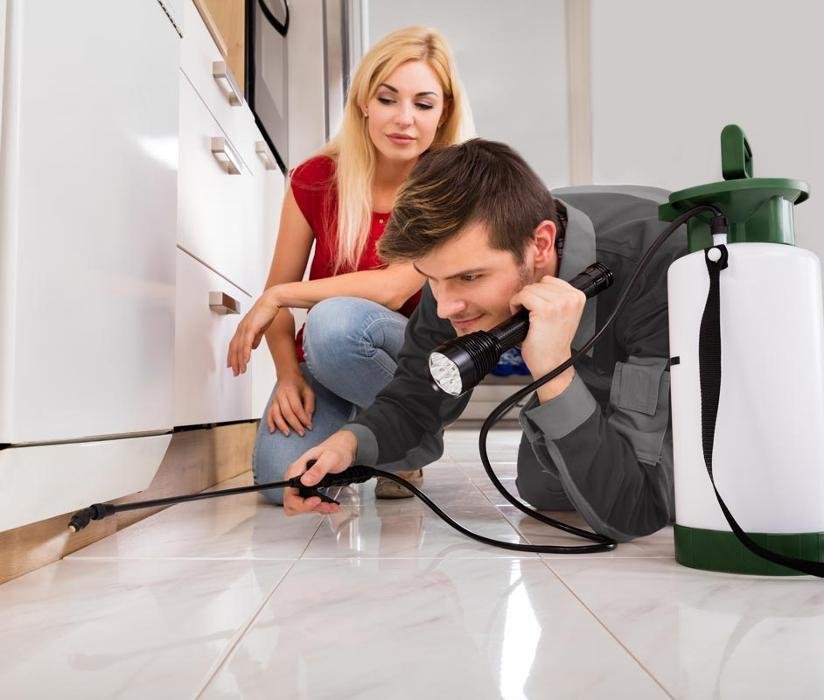 BUG NINJA PEST CONTROL - Updated July 2025 - 11628 S Choctaw Dr, Baton ...