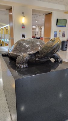 ADELE H. STAMP STUDENT UNION - Updated December 2025 - 49 Photos & 16 ...