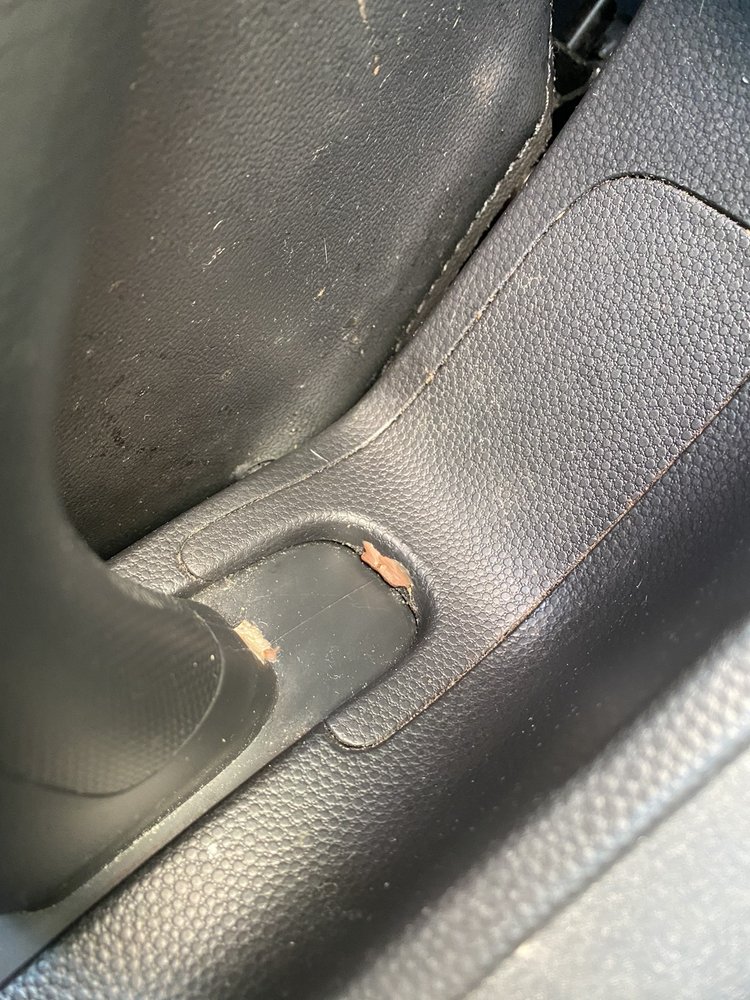 Hardbody Auto Spa, Dallas | Roadtrippers