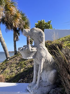 YELLOW DOG CAFE - Updated June 2025 - 642 Photos & 481 Reviews - 905 Us ...