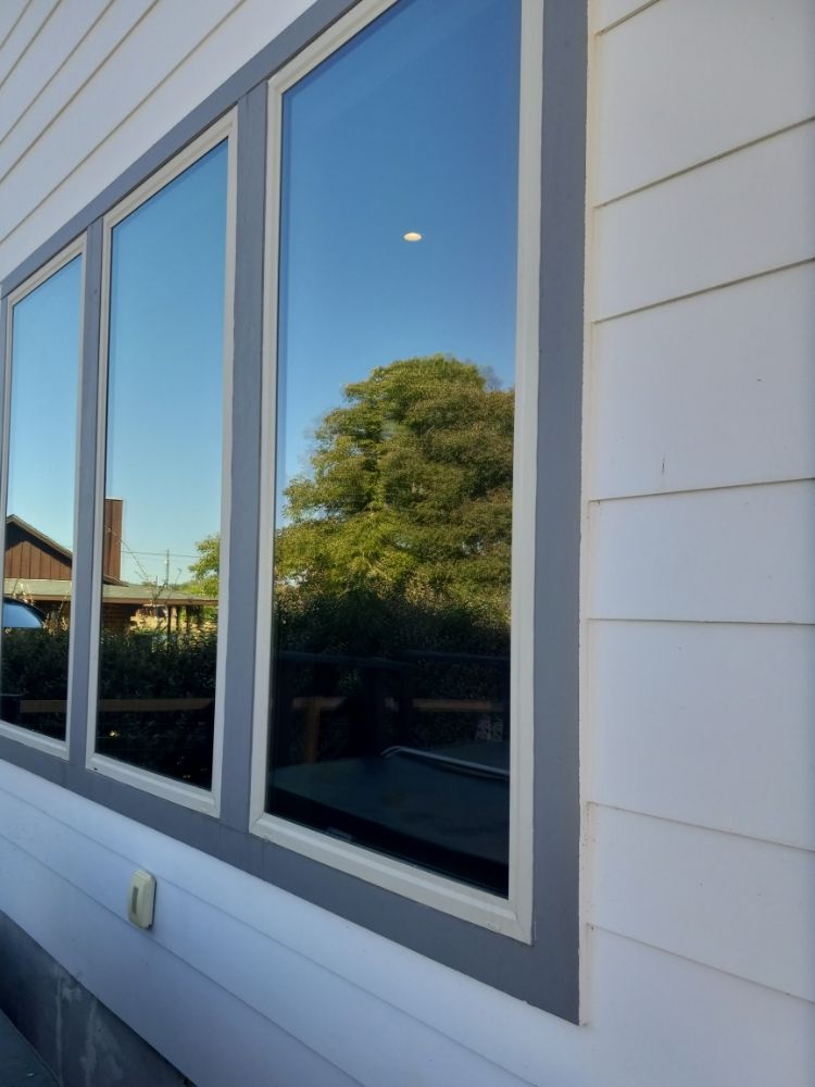 DAVIDSON WINDOW CLEANING AND LAKE FRONT CLEAN UP ALGEA - Updated ...