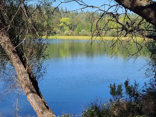 LAKE THEODORE - 23 Photos - 16100 Applegate Rd, Applegate, California ...