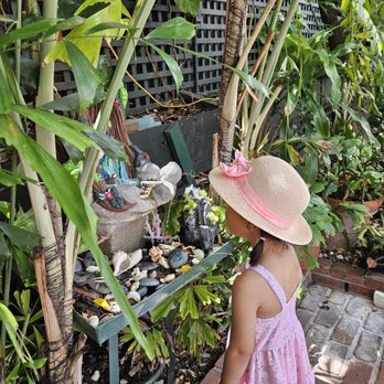 MANGOES - Updated April 2025 - 483 Photos & 605 Reviews - 700 Duval St ...