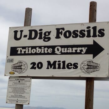 U-DIG FOSSILS - Updated June 2024 - 42 Photos & 23 Reviews - Death ...