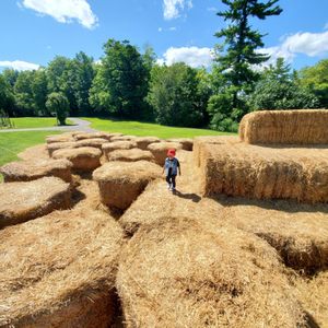 SPRINGRIDGE FARM - 147 Photos & 36 Reviews - 7256 Bell School Line ...