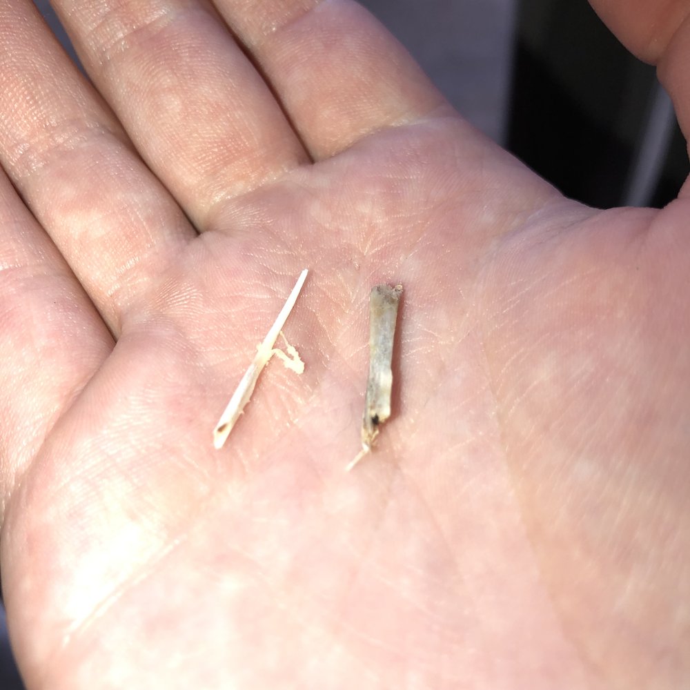 KFC - Updated May 2025 - 133 Southwest Dr, Jonesboro, Arkansas - Fast ...