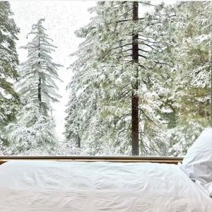 RIVERVIEW ESTATE BY BROPHY - Updated March 2025 - 72 Photos - 1650 ...