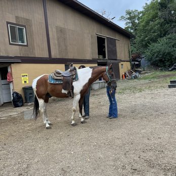 MEMORY LANE STABLES - Updated September 2025 - 168 Photos & 130 Reviews ...