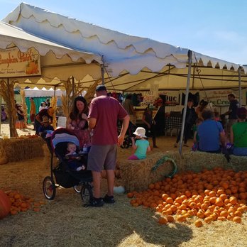 SPRING HILL FARM - Updated October 2025 - 18 Photos & 14 Reviews - 4235 ...