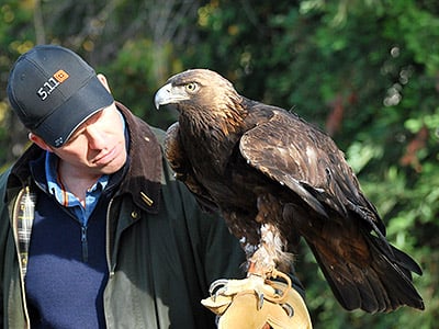 CALIFORNIA RAPTOR CENTER - Updated October 2025 - 58 Photos & 23 ...