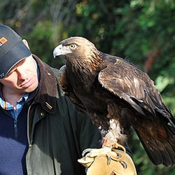 CALIFORNIA RAPTOR CENTER - 37 Photos & 16 Reviews - 1340 Equine Way ...