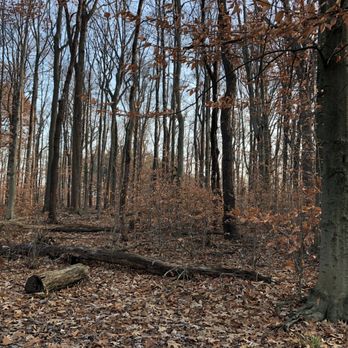 STIGLMEIER PARK - Updated October 2024 - 176 Photos & 38 Reviews - 500 ...