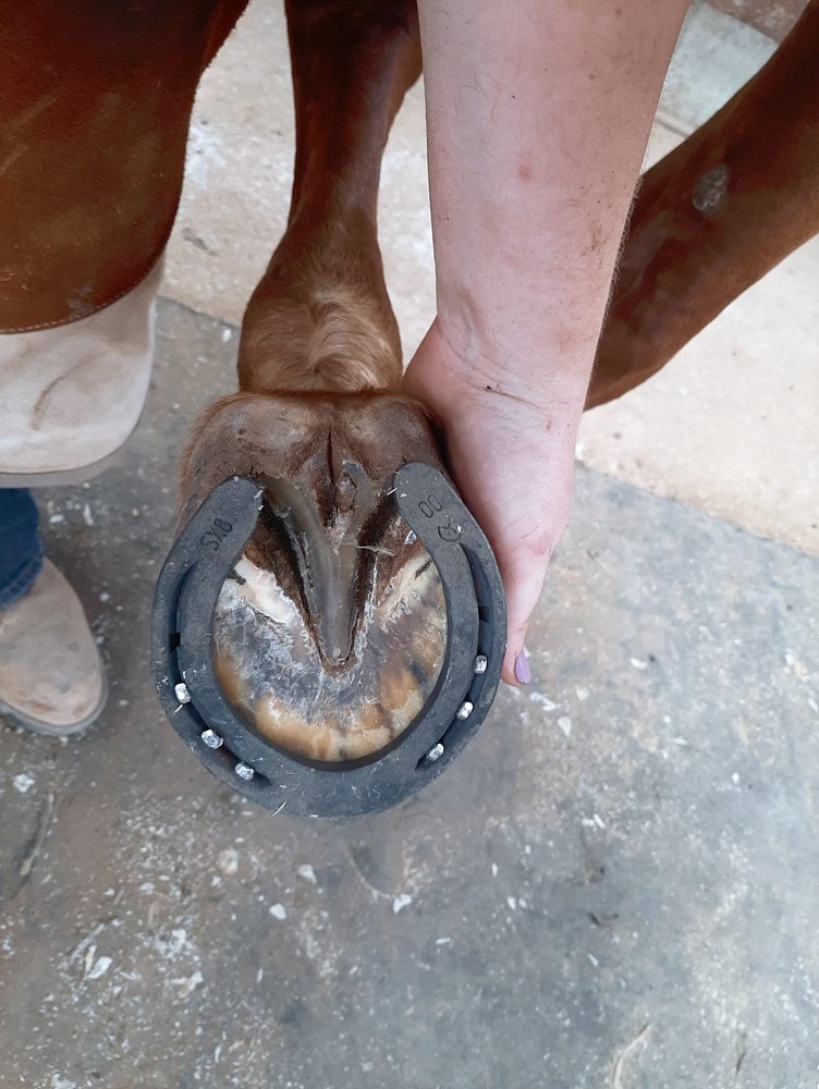 GREENSMITH’S FARRIER SERVICE - 346 N Indian Meridian Rd, Choctaw, Oklahoma - Farriers - Phone ...