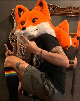 TIGER DUST - Updated September 2025 - 33 Photos - 4222 N Florida Ave ...