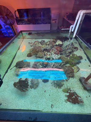 OCEAN AVENUE - Updated December 2025 - 36 Photos & 27 Reviews - 6401 S ...